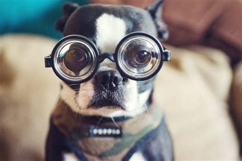 exploring the look and say sequence using javascript by matthew reid