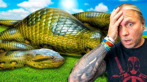 This Anaconda Is Causing Me Problems YouTube