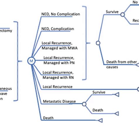 Decision Tree For Analyzing Robotic Assisted Partial Nephrectomy Vs Download Scientific