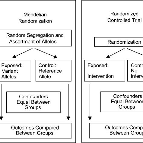 Mendelian Randomization And Randomized Controlled Trials Adapted From Download Scientific