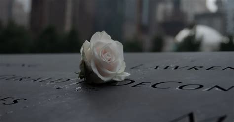 Twenty Years Later Senior Lecturer Greg Witkowski Revisits The Second