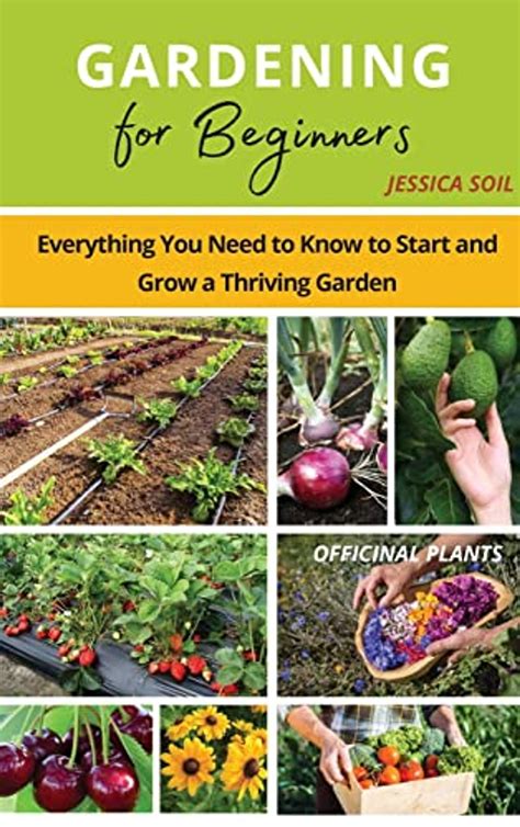 Gardening For Beginners Everything You Need To Know To Start And Grow