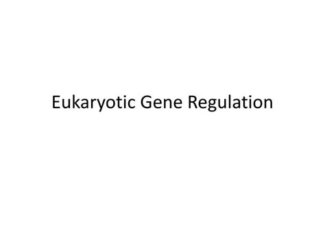 Ppt Eukaryotic Gene Regulation Powerpoint Presentation Free Download