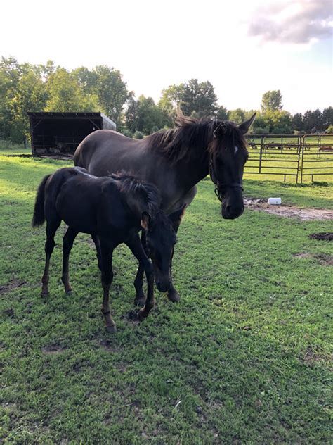 8 A0 F6 D2 D 333 D 40 C5 Ac49 5 B9 Bcae78 C07 — Postimages