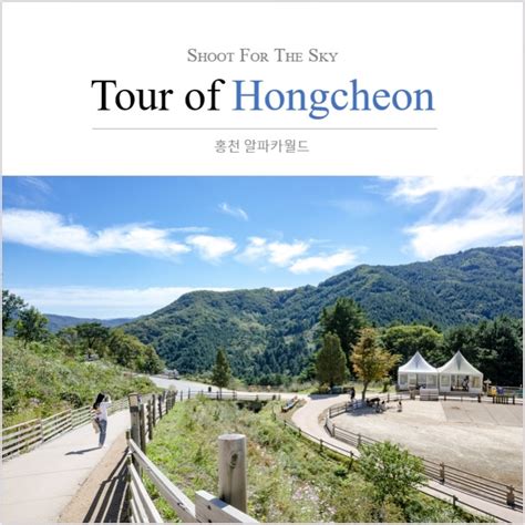 아이와 가볼만한곳 강원도 홍천 알파카월드 가을 홍천 여행 명소 네이버 블로그