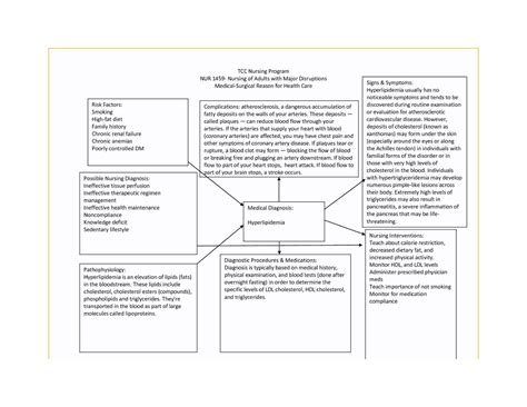 Concept Map Example Map APN 101 Studocu