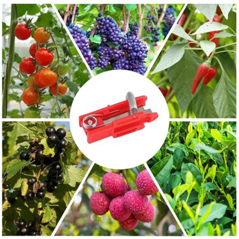 Vegetable Finger Knife Separator Farm Garden Orcha On Onbuy