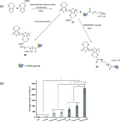 9 Enhancing Cell Adhesion Through Covalent Attachment Of Peptides With