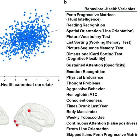 Global Sparse Canonical Correlation Analysis A Significant