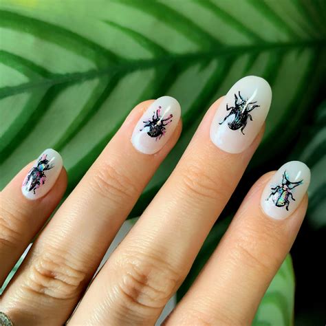Bugs Under Nails