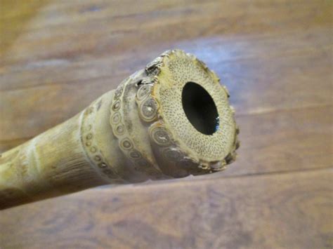 Chikudo Ji Mori Shakuhachi 1 8 In D Atelier Chikudo