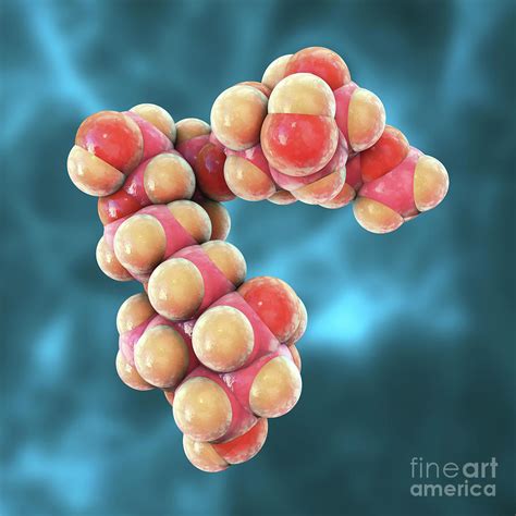 Pullulan Molecule 5 By Science Photo Library