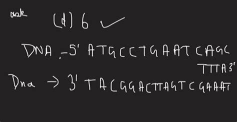 Solved The Following Dna Sequence Is Part Of One Exon And Contains The