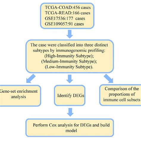 Flow Diagram Of The Analysis Procedure Data Collection
