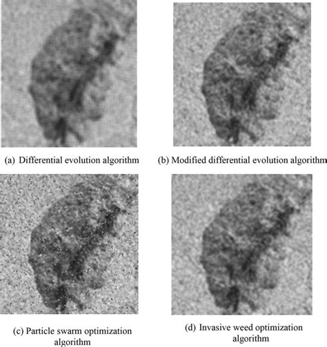 Restored Images Corrupted With Combination Of Speckle And Salt And Download Scientific Diagram