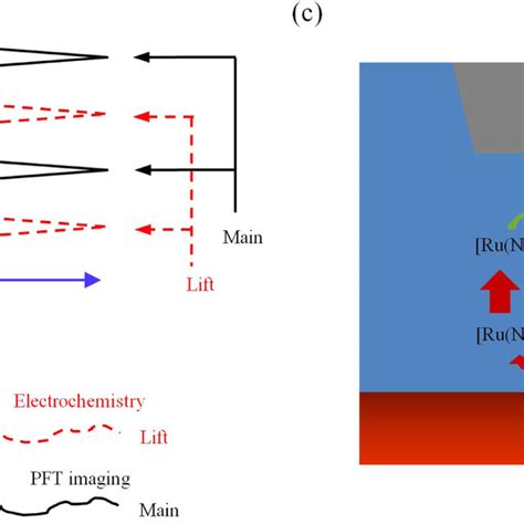 A Pattern Of The Probe Movement In The Interleaved Scan Mode B Download Scientific Diagram