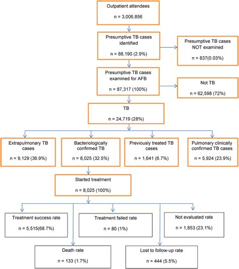 Flow Chart Of TB Case Notification And Treatment Outcomes In Kabul Download Scientific Diagram