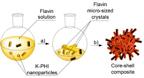 Schematic Procedure Of Non Spherical Core Shell Composite Preparation Download Scientific