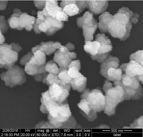 A Zno Seed Layer B Zno Growth Layer 110 Fig4c Shows Sem Image Of