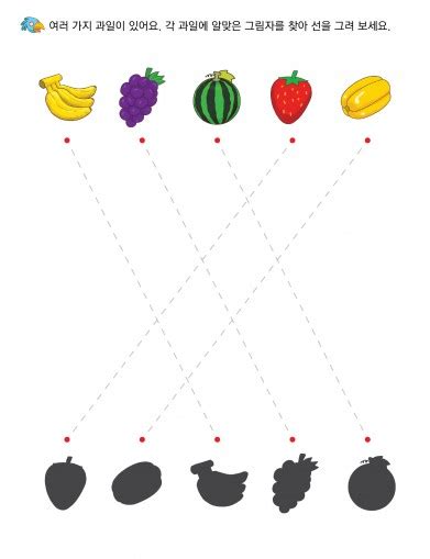 과일 그림자 찾기 선 그리기 All Can I 우리 아이 전용도서관