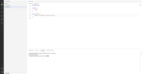 在浏览器上开发go和vue！ 基于code server aaayi 博客园