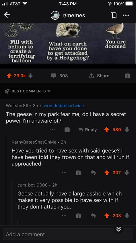 Cursedgeese Rcursedcomments