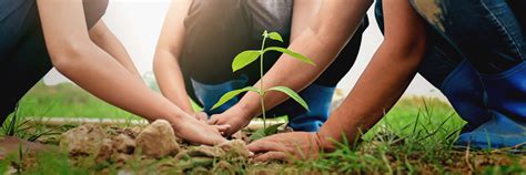 Announcing The Agile Sustainability Initiative Agile Alliance