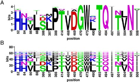 A Sequence Logo Of Neutralizing Epitopes For The Broadly Neutralizing