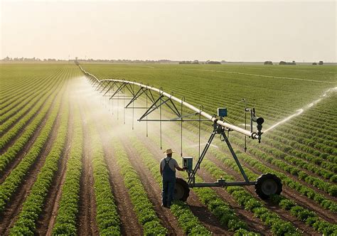 Simplified Irrigation Scheduling Estimating Evapotranspiration Without Direct Weather Data