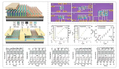 An Architecture For Sub Picowatt Logic Computing Based On Self Biased
