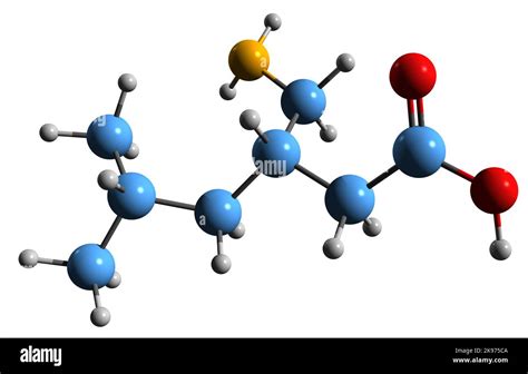 3d Image Of Pregabalin Skeletal Formula Molecular Chemical Structure Of Anticonvulsant