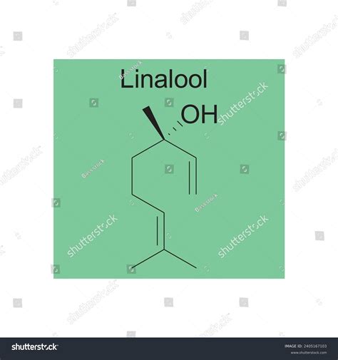 Linalool Skeletal Structure Diagrammonoterpenoid Compound Molecule Stock Vector Royalty Free