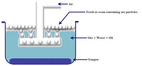 Froth Flotation Process