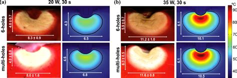 Validation Of The Computational Model Experimental Data From 3 And Download Scientific