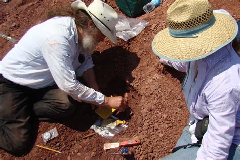 Digging For Fossils BEYONDbones