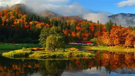 Download Lake Pond Cloud Fog Forest Earth Photography Fall Hd Wallpaper