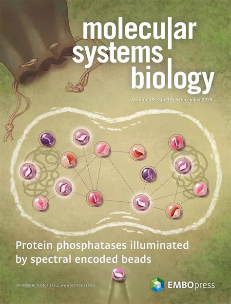 In Silico Fermentation On Linkedin Evaluating E Coli Genome‐scale Metabolic Model Accuracy With…
