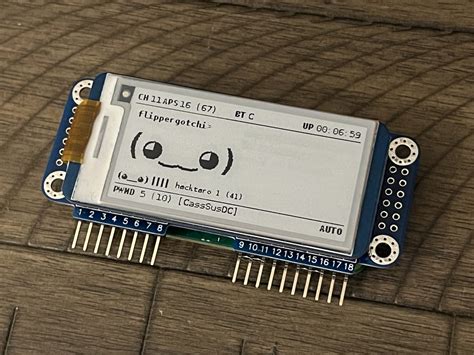 Using My Flipper To Power Pwnagotchi R Pwnagotchi