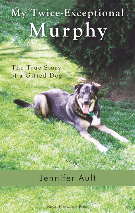 Twice Exceptionality 2e Royal Fireworks Press