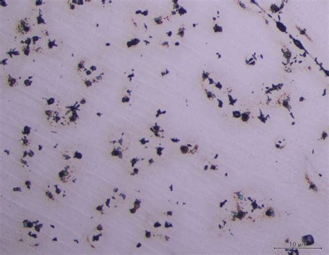 Solved Explain The Difference In Microstructure