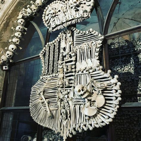 Macabre Moth On Tumblr