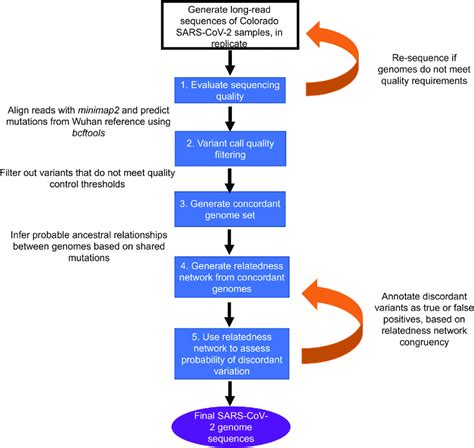 Flow Chart Of Sars Cov 2 Sequencing Variant Prediction Variant