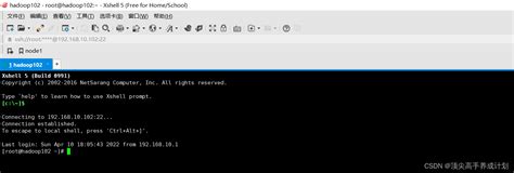 MySQL入门篇 Linux环境下安装MySQL 的完整步骤 linux 安装mysql CSDN博客
