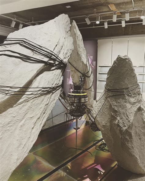 Kitty Schur Founder Author And Holistic Wellness Innovator