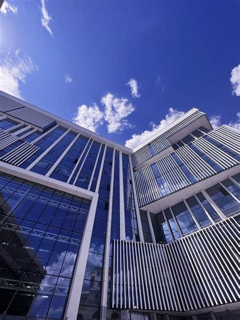 РЭУ им Г В Плеханова Эстетика Имена