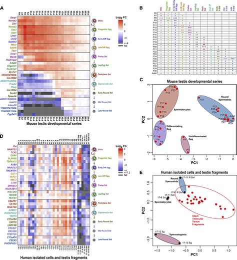 Validation Of Single Cell Transcriptomes And Derivation Of Download Scientific Diagram