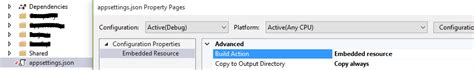 C How Can I Ensure That Appsettingsdevjson Gets Copied To The