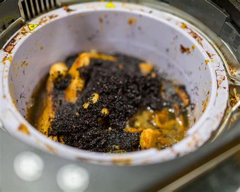 Electric Composter Guide How They Work And Are They Worth It