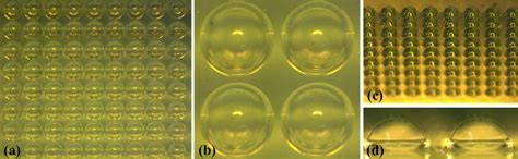 Shows Optical Micrographs Of The Formed Micro Lens Array On Glass