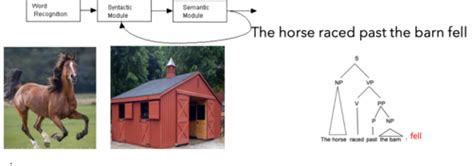 Lecture 14 Flashcards Quizlet